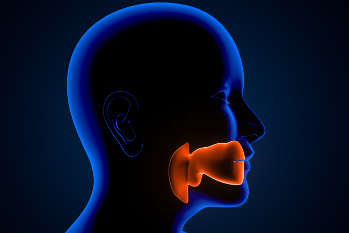 Adenoidectomia - Audioderma